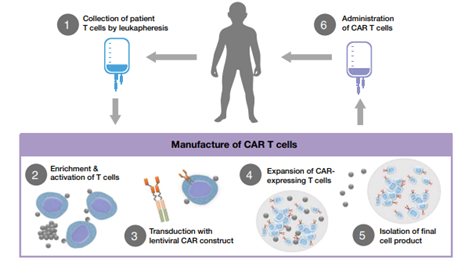 CAR-T cell therapy: main components, manufacturing, and prospects | QbD ...
